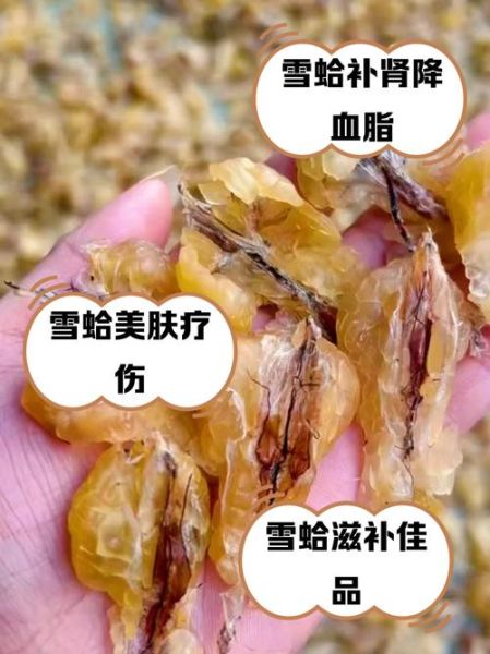雪蛤膏价格多少钱一斤_正宗雪蛤膏多少钱一斤-第2张图片-山城妙识