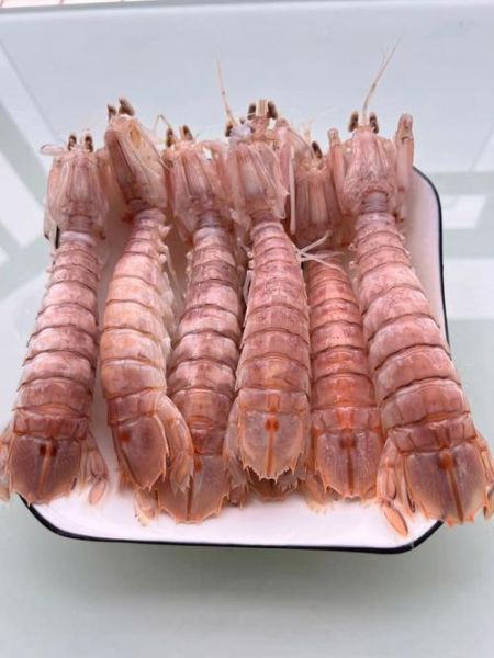 虾姑图片怎么拍_虾姑高清图鉴-第2张图片-山城妙识