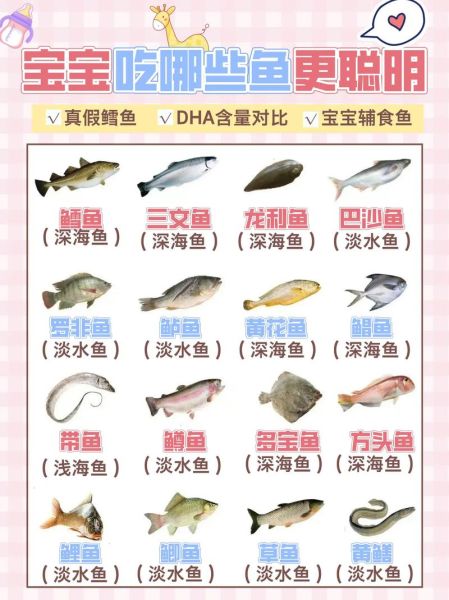 儿童吃什么鱼最有营养_儿童必吃十种鱼推荐-第3张图片-山城妙识 儿童吃什么鱼最有营养_儿童必吃十种鱼推荐-第3张图片-山城妙识