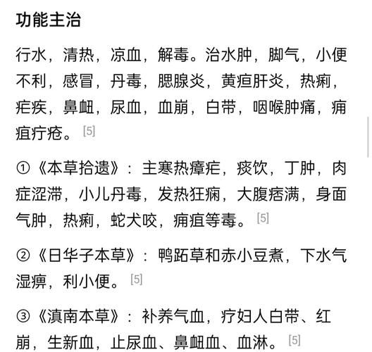 竹叶菜怎么做好吃_竹叶菜的家常做法-第1张图片-山城妙识