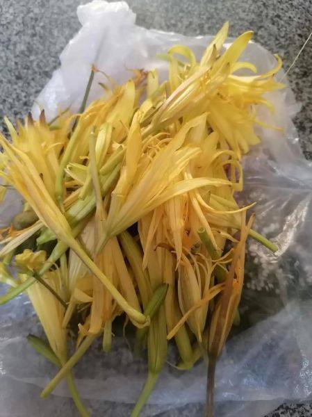 凉拌新鲜黄花菜怎么做好吃_黄花菜焯水几分钟-第2张图片-山城妙识