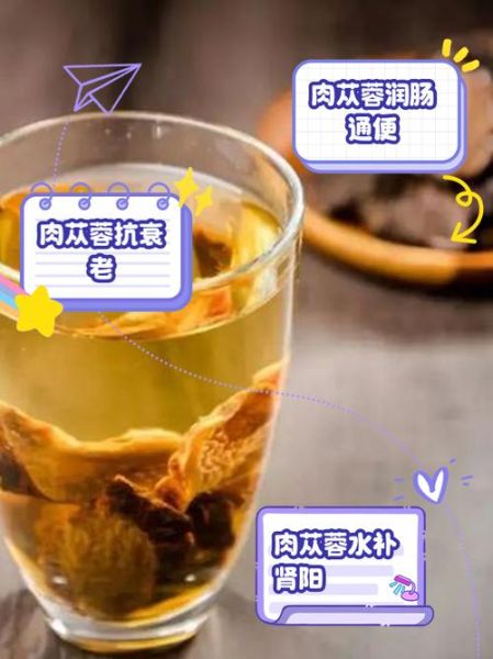 肉苁蓉泡水喝的方法_肉苁蓉泡水一天喝几次-第3张图片-山城妙识