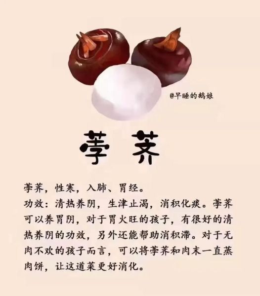 吃荸荠的好处和功效有哪些_荸荠怎么吃最营养-第2张图片-山城妙识 吃荸荠的好处和功效有哪些_荸荠怎么吃最营养-第2张图片-山城妙识