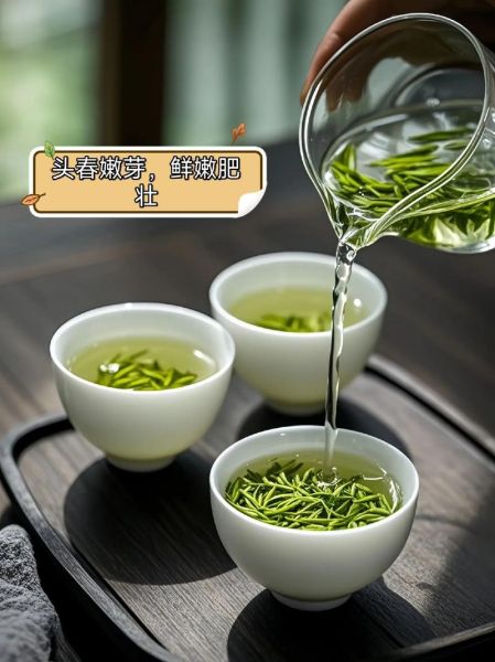 毛尖茶叶多少钱一斤_毛尖价格表2024最新-第1张图片-山城妙识