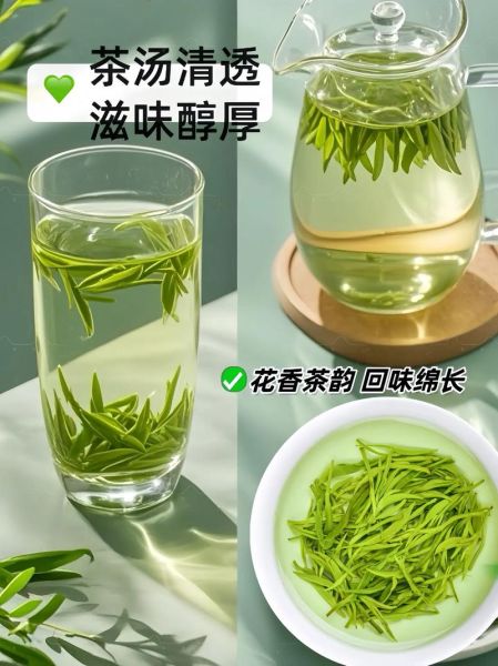 毛尖茶叶多少钱一斤_毛尖价格表2024最新-第3张图片-山城妙识