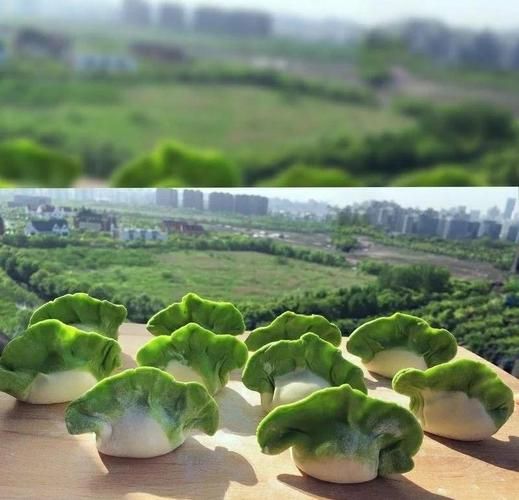 翡翠饺子皮怎么做_翡翠饺子皮用什么蔬菜汁-第3张图片-山城妙识