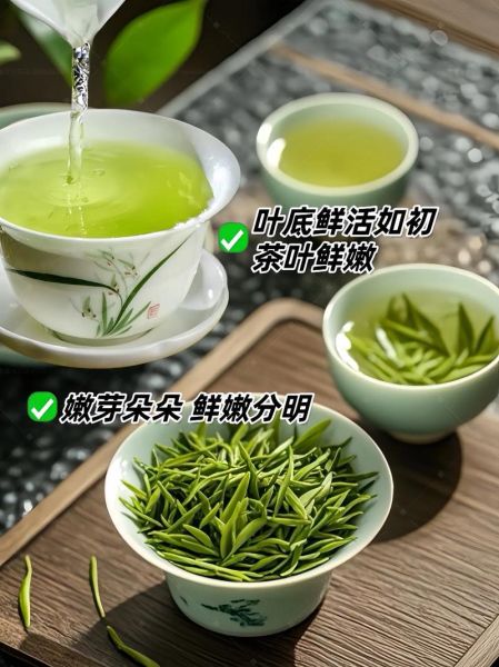 毛尖茶叶多少钱一斤_毛尖价格表2024最新-第2张图片-山城妙识