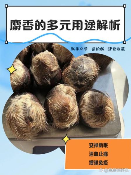 人工麝香的功效与作用_人工麝香和天然麝香区别-第1张图片-山城妙识