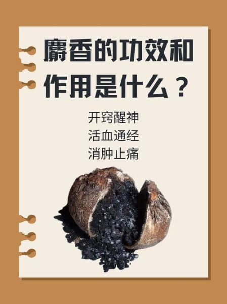 人工麝香的功效与作用_人工麝香和天然麝香区别-第3张图片-山城妙识