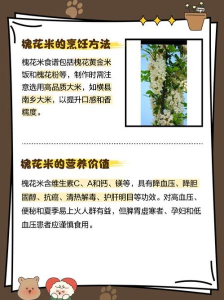 槐花米怎么吃_槐花米有什么功效-第2张图片-山城妙识