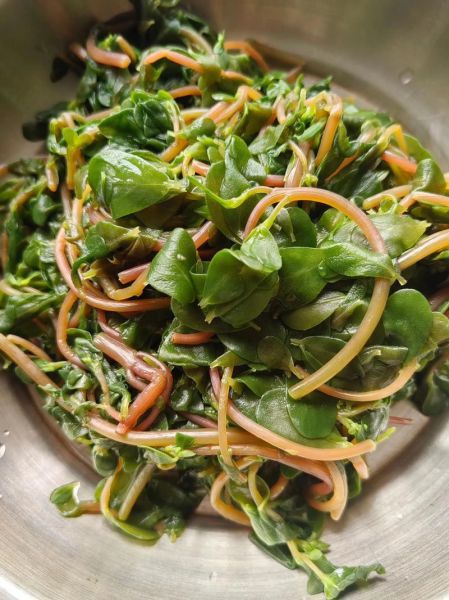 苋菜怎么炒好吃_苋菜凉拌做法-第2张图片-山城妙识 苋菜怎么炒好吃_苋菜凉拌做法-第2张图片-山城妙识