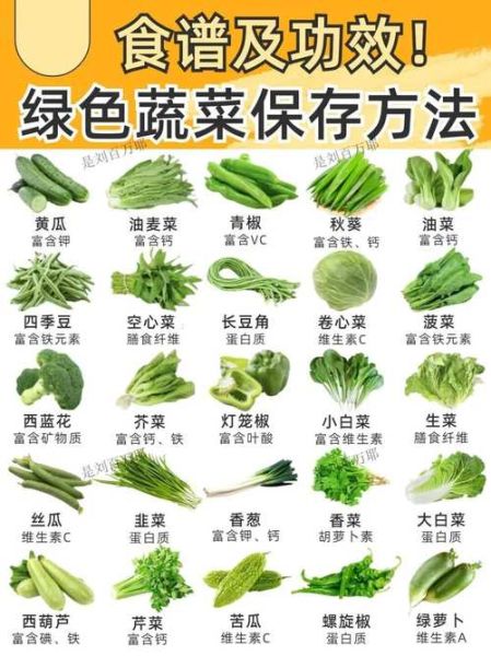 常见蔬菜名称大全图片_哪些蔬菜适合新手种植-第2张图片-山城妙识
