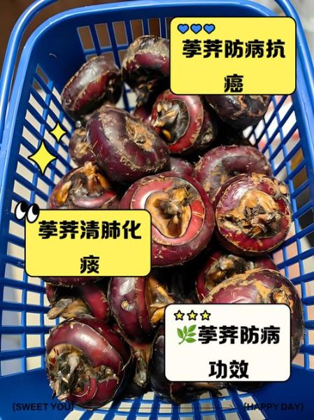 荸荠怎么吃_荸荠有什么药用价值-第2张图片-山城妙识