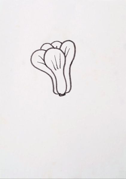 青菜简笔画怎么画_青菜简笔画步骤-第1张图片-山城妙识