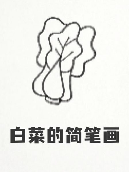 青菜简笔画怎么画_青菜简笔画步骤-第3张图片-山城妙识