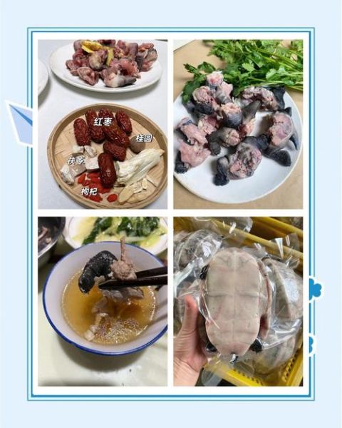 甲鱼怎么吃最好方法_甲鱼汤怎么炖最营养-第3张图片-山城妙识 甲鱼怎么吃最好方法_甲鱼汤怎么炖最营养-第3张图片-山城妙识