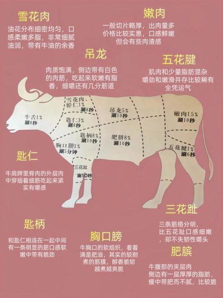 牛肉部位图解大全_哪个部位最适合涮火锅-第2张图片-山城妙识 牛肉部位图解大全_哪个部位最适合涮火锅-第2张图片-山城妙识