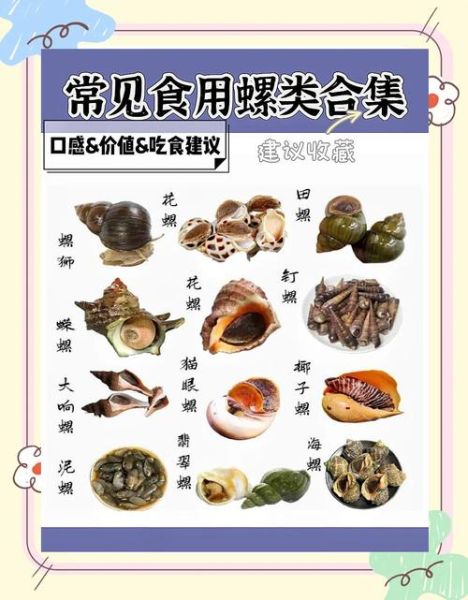 螺的种类有哪些_淡水螺和海水螺区别-第3张图片-山城妙识 螺的种类有哪些_淡水螺和海水螺区别-第3张图片-山城妙识