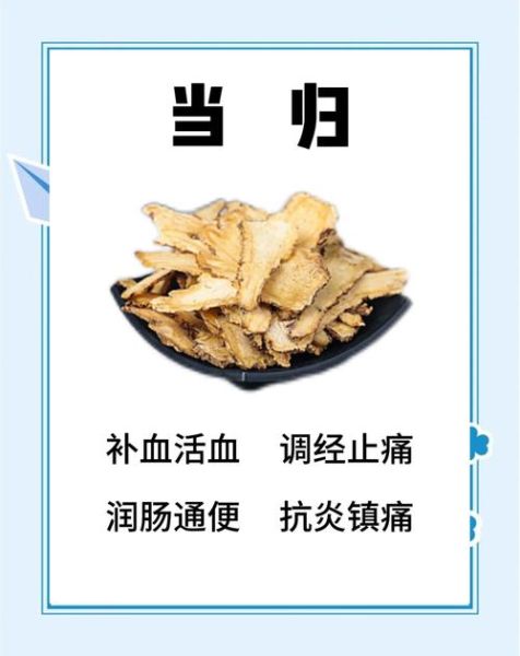当归的功效与作用吃法_每次用量多少克-第1张图片-山城妙识 当归的功效与作用吃法_每次用量多少克-第1张图片-山城妙识