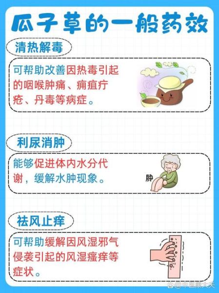 打瓜子的功效与作用_打瓜子能减肥吗-第2张图片-山城妙识