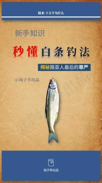 白条是什么_白条怎么用-第1张图片-山城妙识