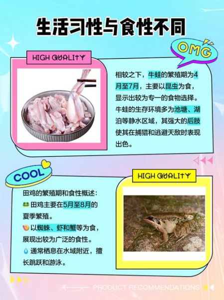 田鸡是什么东西_田鸡和牛蛙的区别-第1张图片-山城妙识 田鸡是什么东西_田鸡和牛蛙的区别-第1张图片-山城妙识