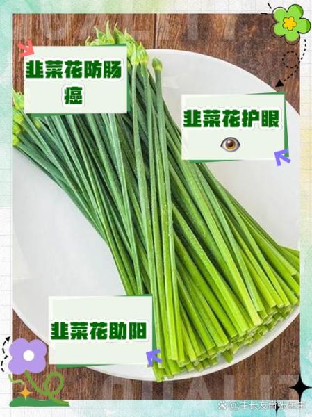 韭菜花有什么功效_韭菜花怎么吃最健康-第1张图片-山城妙识 韭菜花有什么功效_韭菜花怎么吃最健康-第1张图片-山城妙识
