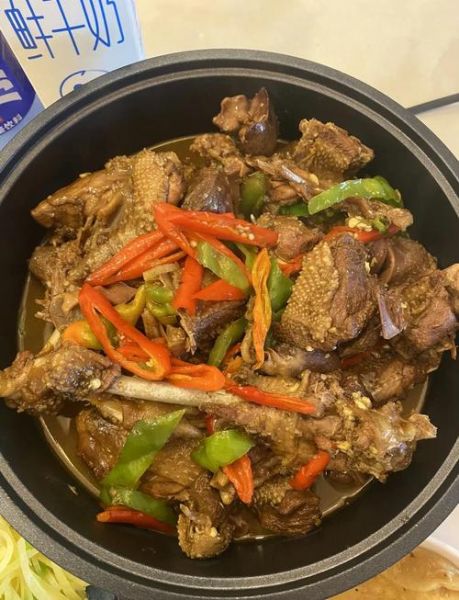 怎么炖鹅肉好吃又简单_家常炖鹅肉的做法窍门-第2张图片-山城妙识