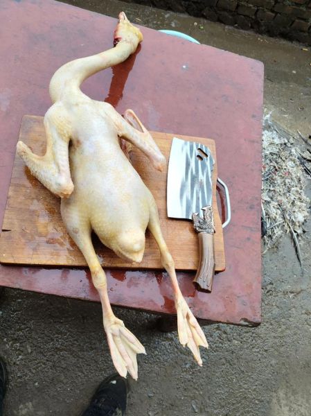 怎么炖鹅肉好吃又简单_家常炖鹅肉的做法窍门-第1张图片-山城妙识