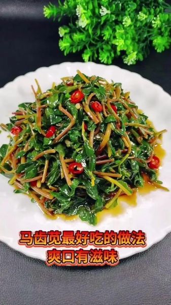 马齿苋菜怎么做好吃_马齿苋菜怎么吃最有营养-第2张图片-山城妙识