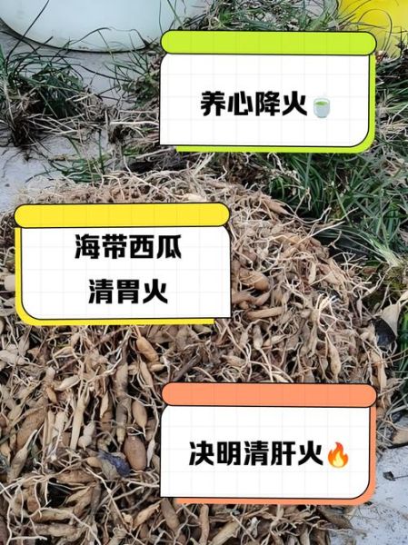 去火气最有效的方法_吃什么降火最快-第3张图片-山城妙识 去火气最有效的方法_吃什么降火最快-第3张图片-山城妙识