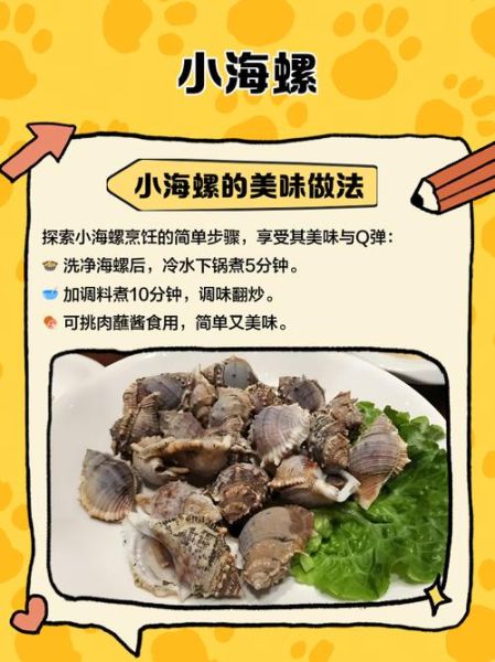 小海螺金牌助教怎么样_小海螺金牌助教值得买吗-第1张图片-山城妙识