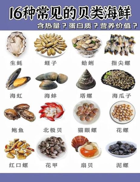 河里的贝类图片名称大全_如何辨别常见品种-第3张图片-山城妙识