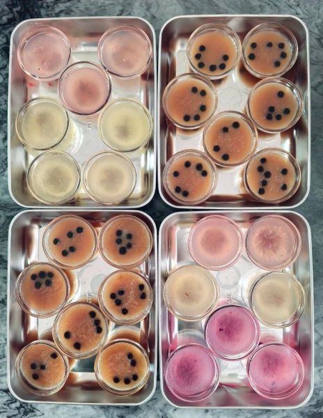 水晶钵仔糕的做法_为什么总是粘牙-第3张图片-山城妙识