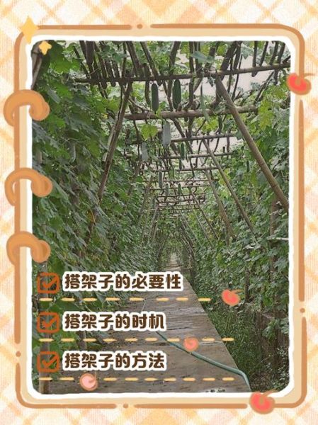 丝瓜架子怎么搭_丝瓜架子图片大全-第2张图片-山城妙识