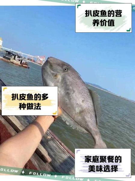 扒皮狼鱼怎么做好吃_家常做法大全-第3张图片-山城妙识