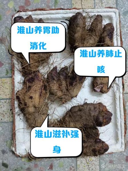女人每天吃山药的好处_长期吃山药对女性的影响-第3张图片-山城妙识
