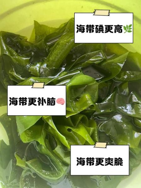 裙带菜和海带哪个营养高_海带和裙带菜营养对比-第2张图片-山城妙识 裙带菜和海带哪个营养高_海带和裙带菜营养对比-第2张图片-山城妙识