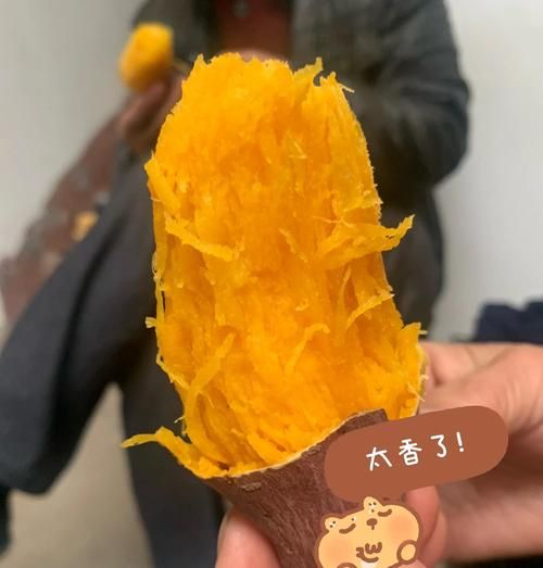 家用电烤箱烤红薯要多长时间_家用电烤箱烤红薯温度多少合适-第2张图片-山城妙识 家用电烤箱烤红薯要多长时间_家用电烤箱烤红薯温度多少合适-第2张图片-山城妙识