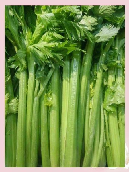 芹菜杀精吗_芹菜对精子影响真相-第1张图片-山城妙识