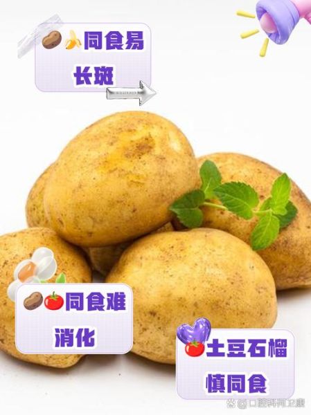 土豆不能和什么一起吃_土豆与哪些食物相克-第1张图片-山城妙识