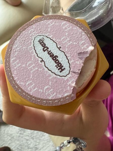 哈根达斯冰淇淋月饼多少钱一盒_哈根达斯冰淇淋月饼口味有哪些-第1张图片-山城妙识