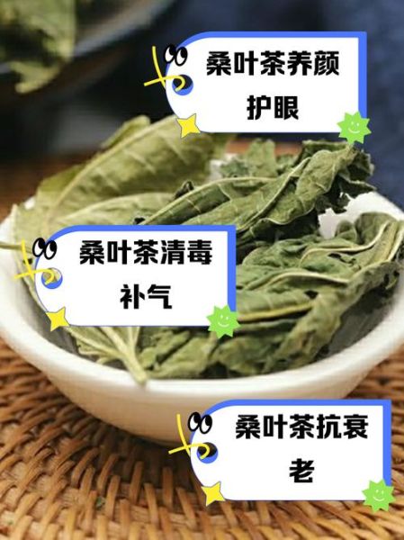 桑叶茶的功效与作用及副作用_适合什么人喝-第2张图片-山城妙识 桑叶茶的功效与作用及副作用_适合什么人喝-第2张图片-山城妙识