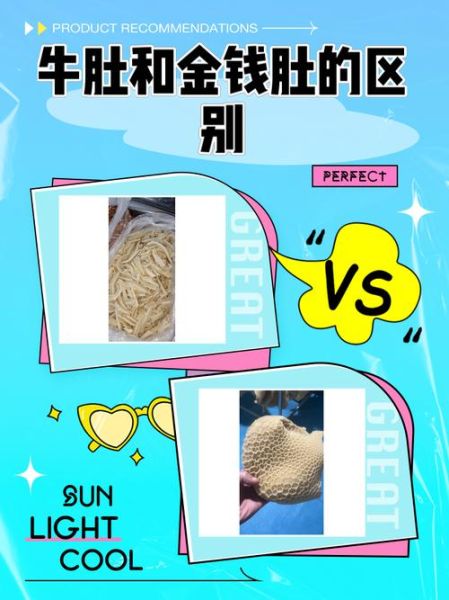 金钱肚是牛的哪个部位_金钱肚和牛肚区别-第1张图片-山城妙识