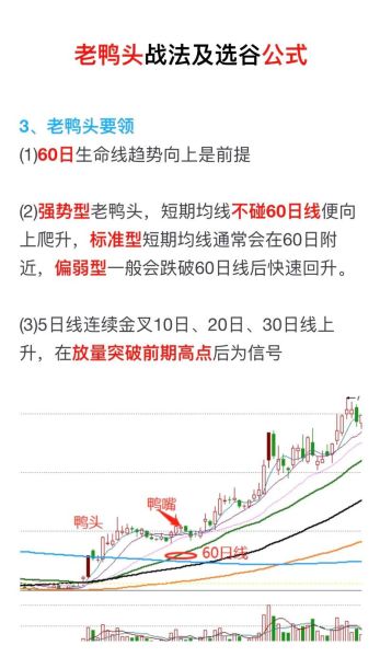 老鸭头形态能涨多高_老鸭头形态涨幅测算-第1张图片-山城妙识