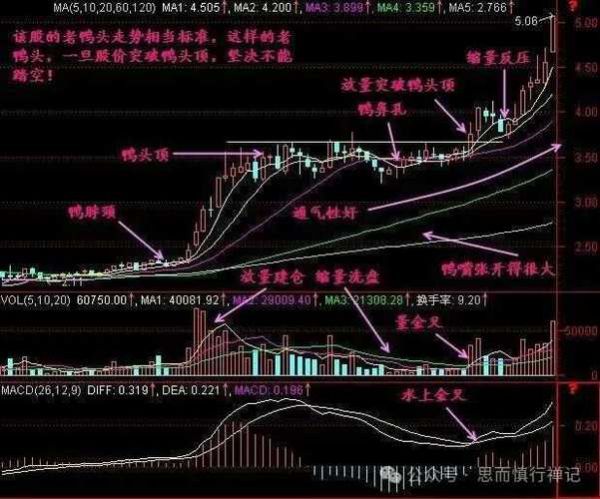 老鸭头形态能涨多高_老鸭头形态涨幅测算-第2张图片-山城妙识