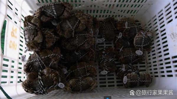 大闸蟹什么时候上市_大闸蟹上市季节-第1张图片-山城妙识 大闸蟹什么时候上市_大闸蟹上市季节-第1张图片-山城妙识