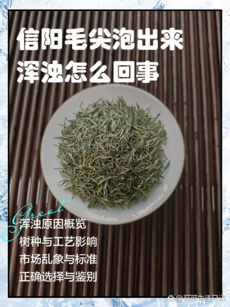 毛尖怎么泡_毛尖用多少度水泡-第2张图片-山城妙识