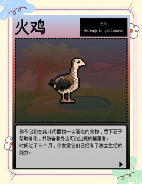 圣诞节吃火鸡吗_火鸡传统由来-第1张图片-山城妙识 圣诞节吃火鸡吗_火鸡传统由来-第1张图片-山城妙识