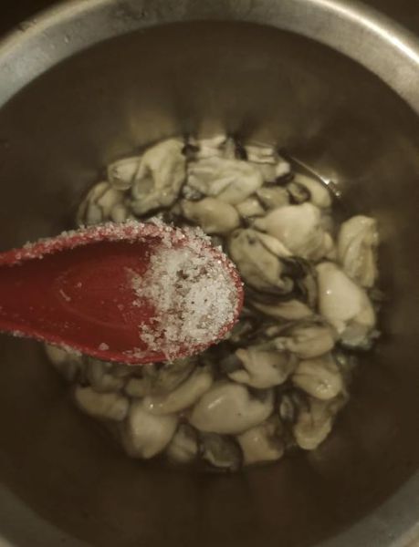 带壳生蚝怎么清洗_生蚝清洗的正确方法-第1张图片-山城妙识